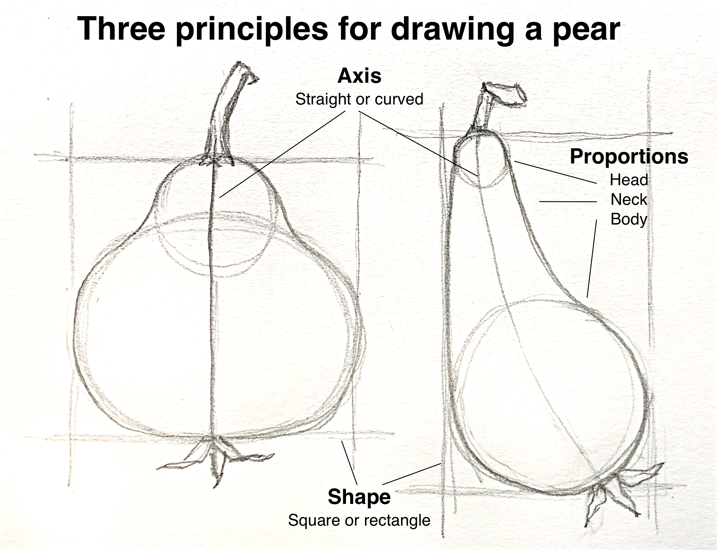 Drawing pears tutorial – Sandrine Maugy